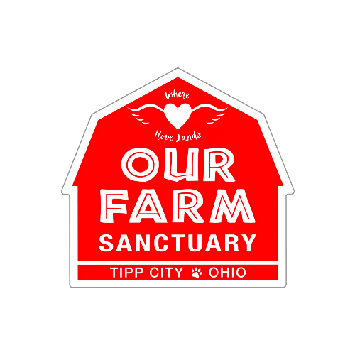 Barbell Brew Coffee Roasters